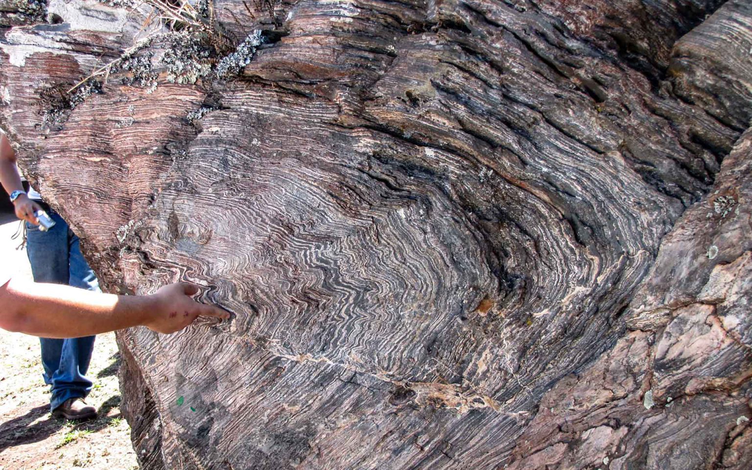 Paleoproterozoic Banded Iron Formation of the Quadrilátero Ferrífero - IUGS