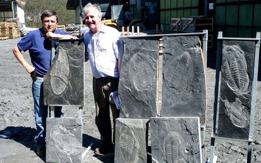 Middle Ordovician Giant trilobites of Canelas Quarry - IUGS