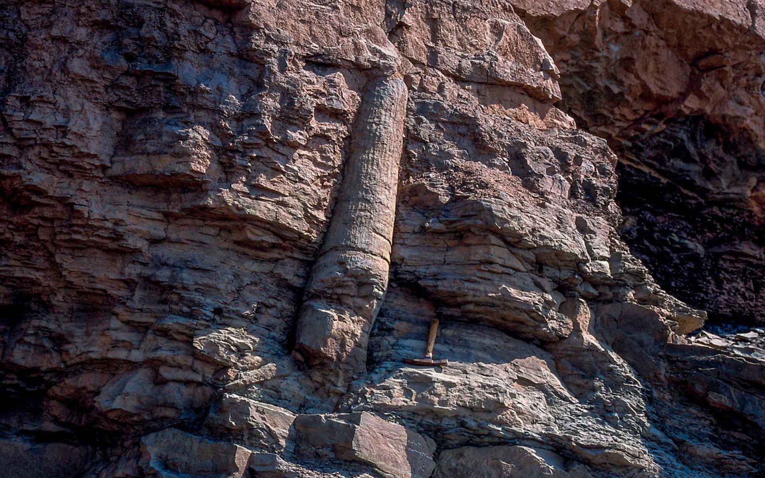 “Coal Age” Joggins Fossil Cliffs - IUGS