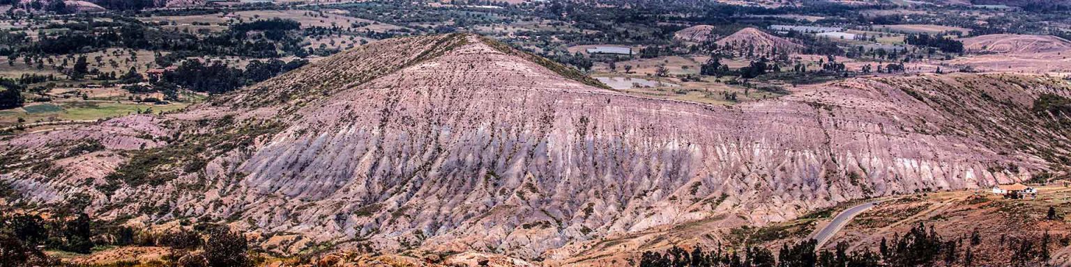 Marine Reptile Lagerstätte from the Lower Cretaceous of the Ricaurte ...