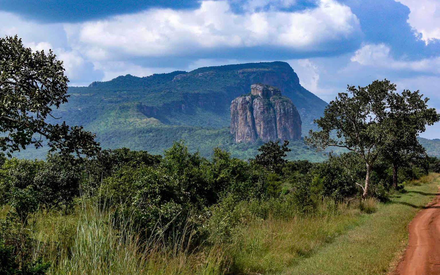 Miocene primates Paleontological site of Napak - IUGS