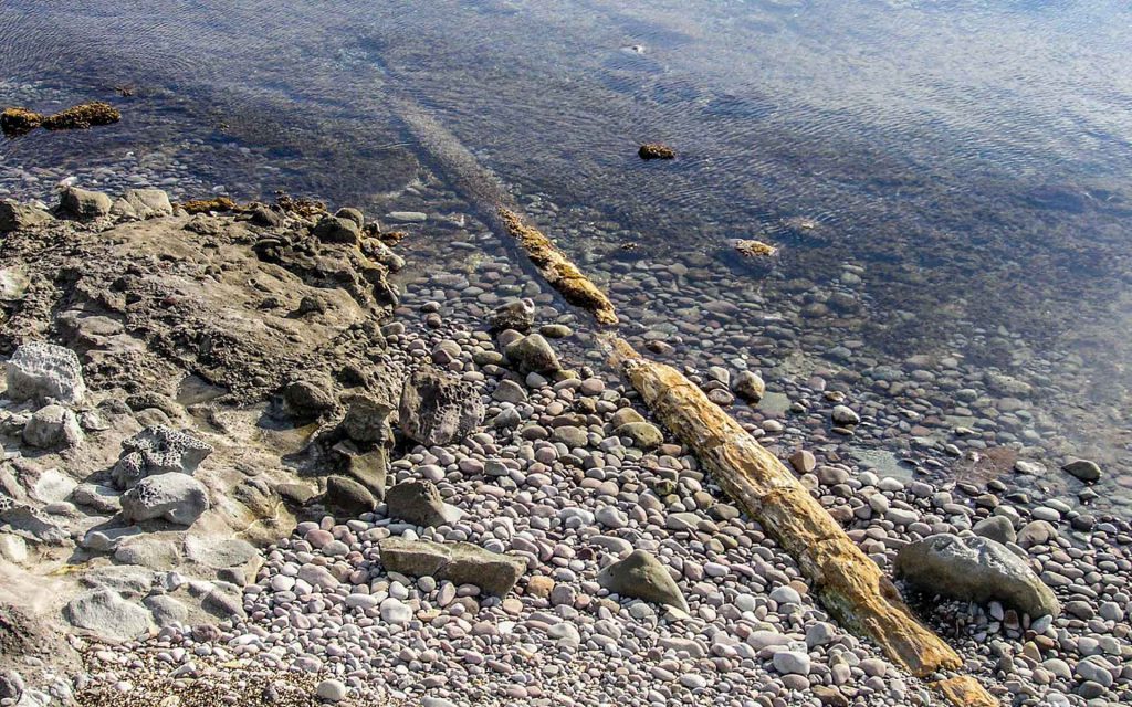 Lesvos Early Miocene Petrified Forest - IUGS