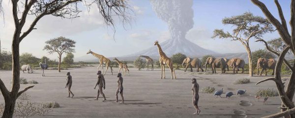 Palaeoanthropological sites of Human Evolution of Laetoli – Olduvai ...