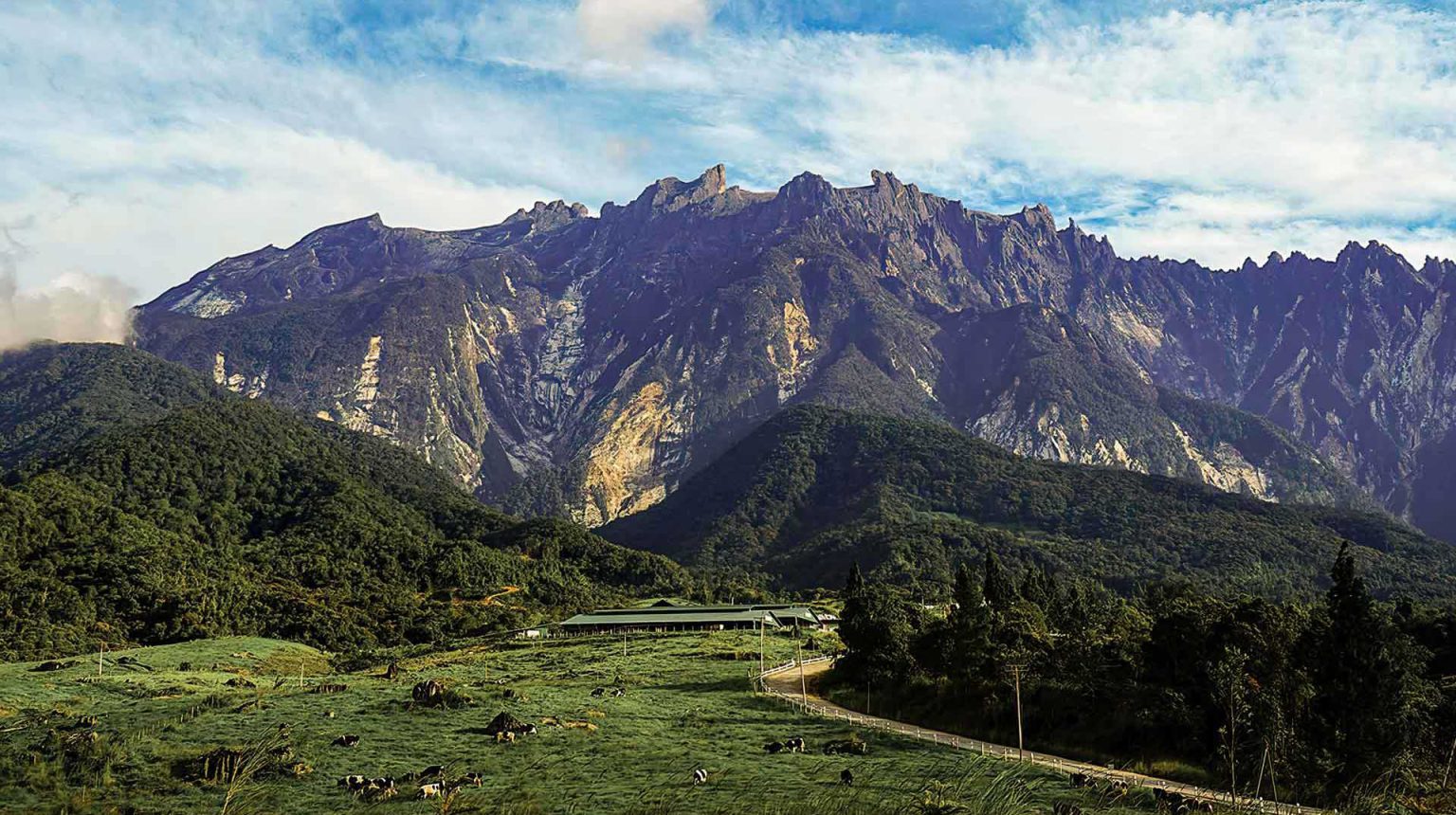 Mount Kinabalu Neogene Granite - IUGS