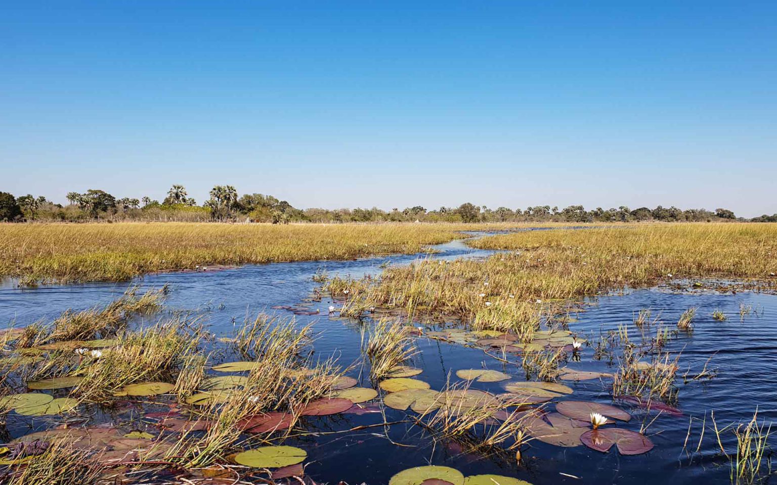 The Okavango Delta - IUGS
