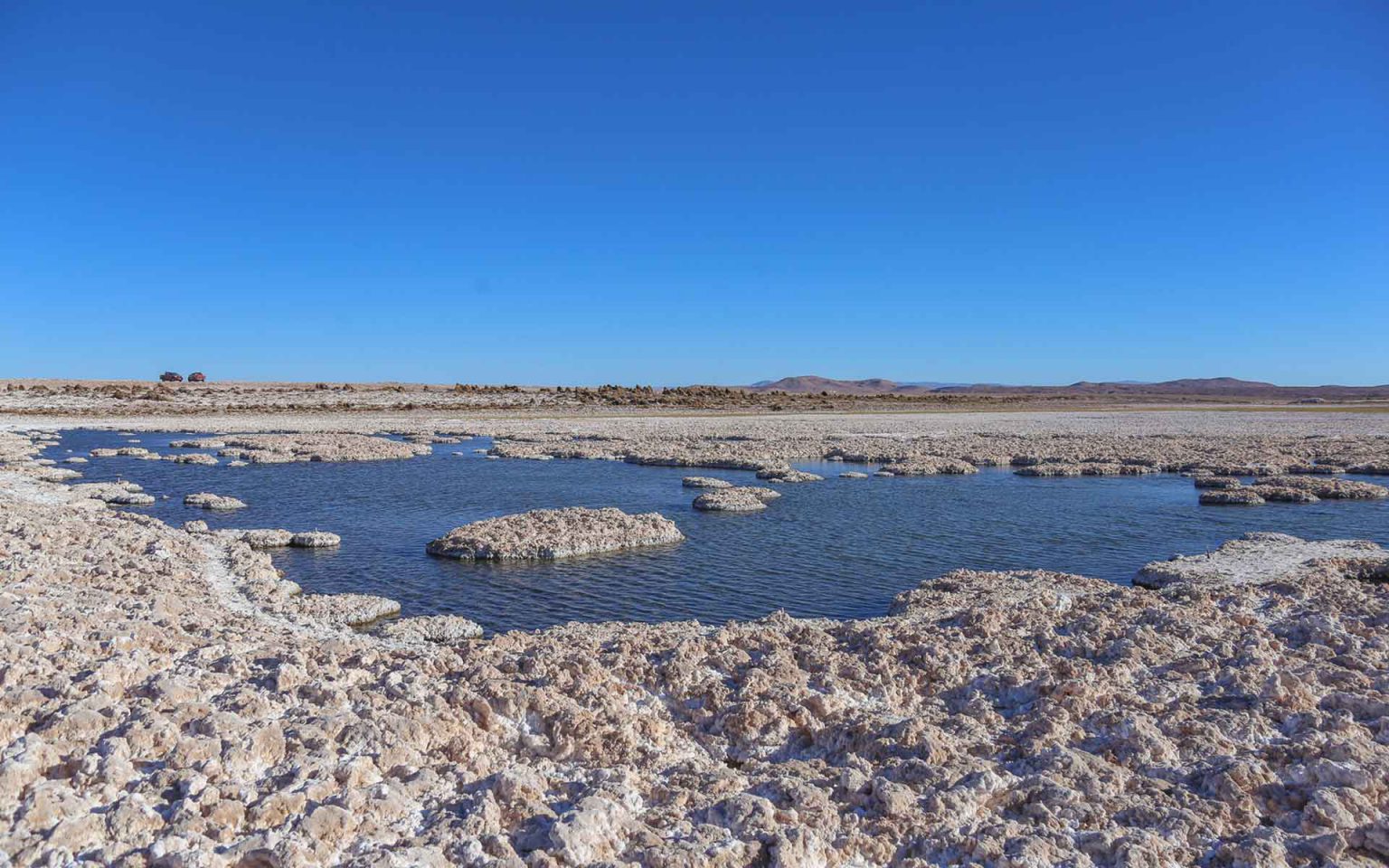 Puquios of the Llamara salt flat - IUGS