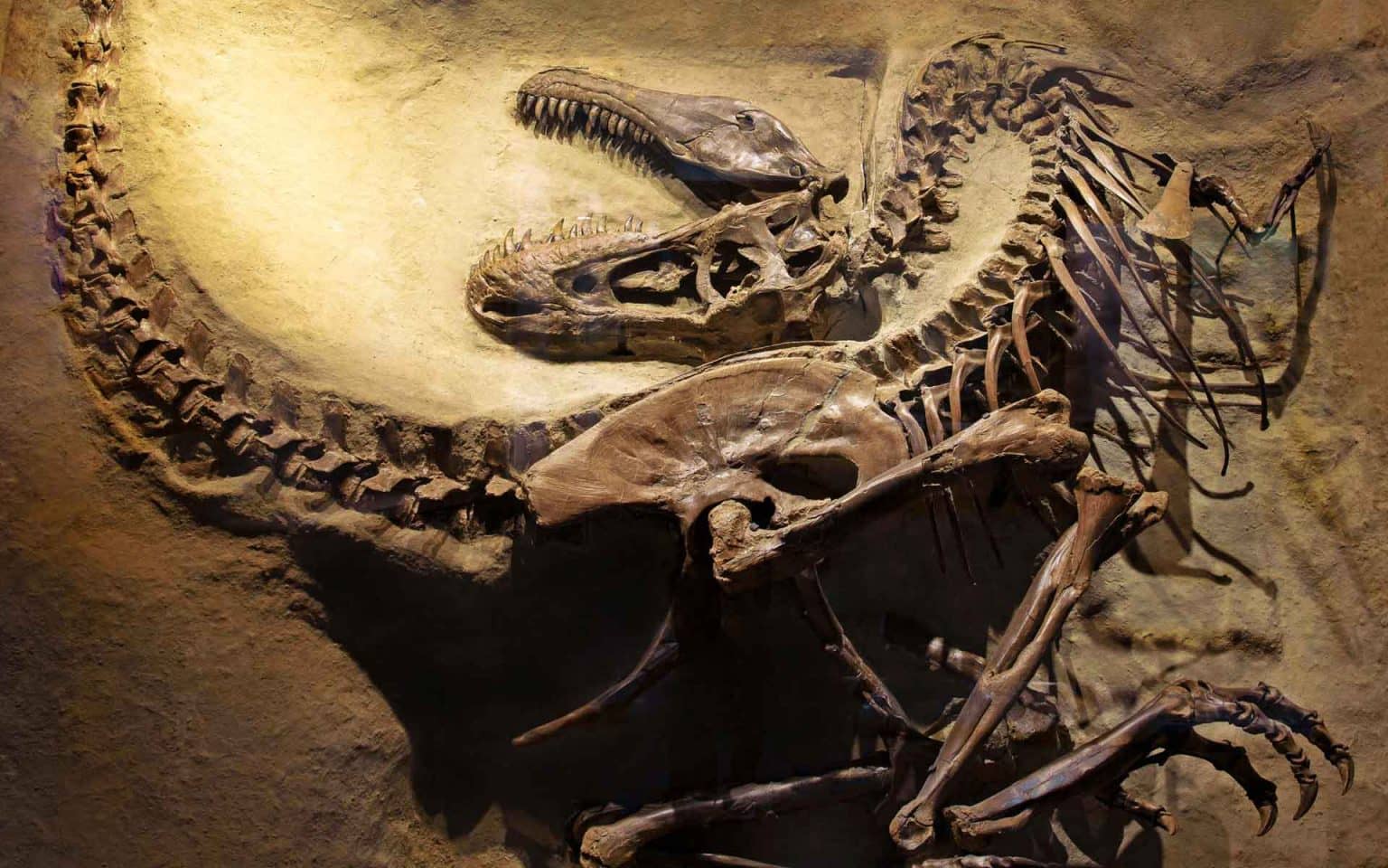 Dinosaur Provincial Park - IUGS