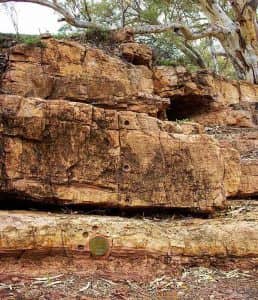 Ediacaran fossils in the Ediacara Hills, Flinders Ranges - IUGS