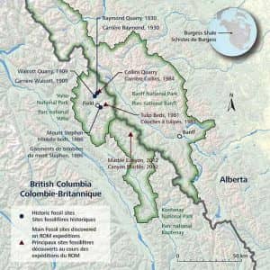 Burgess Shale Cambrian Palaeontological Record - IUGS