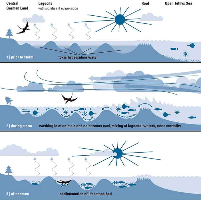 Jurassic Solnhofen – Eichstätt Archaeopteryx serial site - IUGS