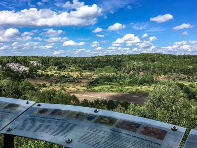 Eocene paleontological record of Messel Pit Fossil site - IUGS