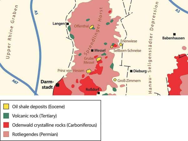 Eocene paleontological record of Messel Pit Fossil site - IUGS