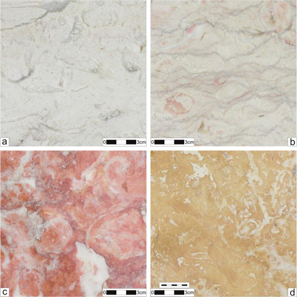 Lioz Limestone - IUGS