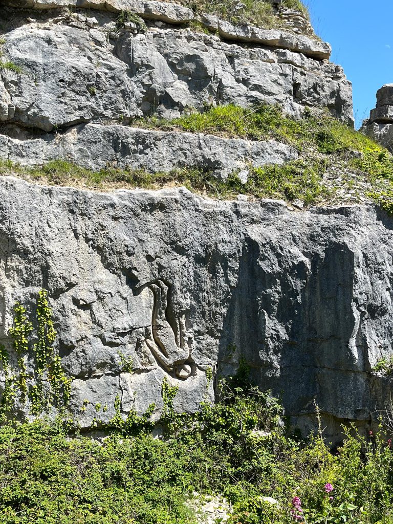 Portland Limestone - IUGS