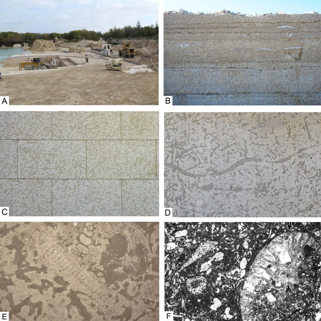 Tyndall Stone - IUGS