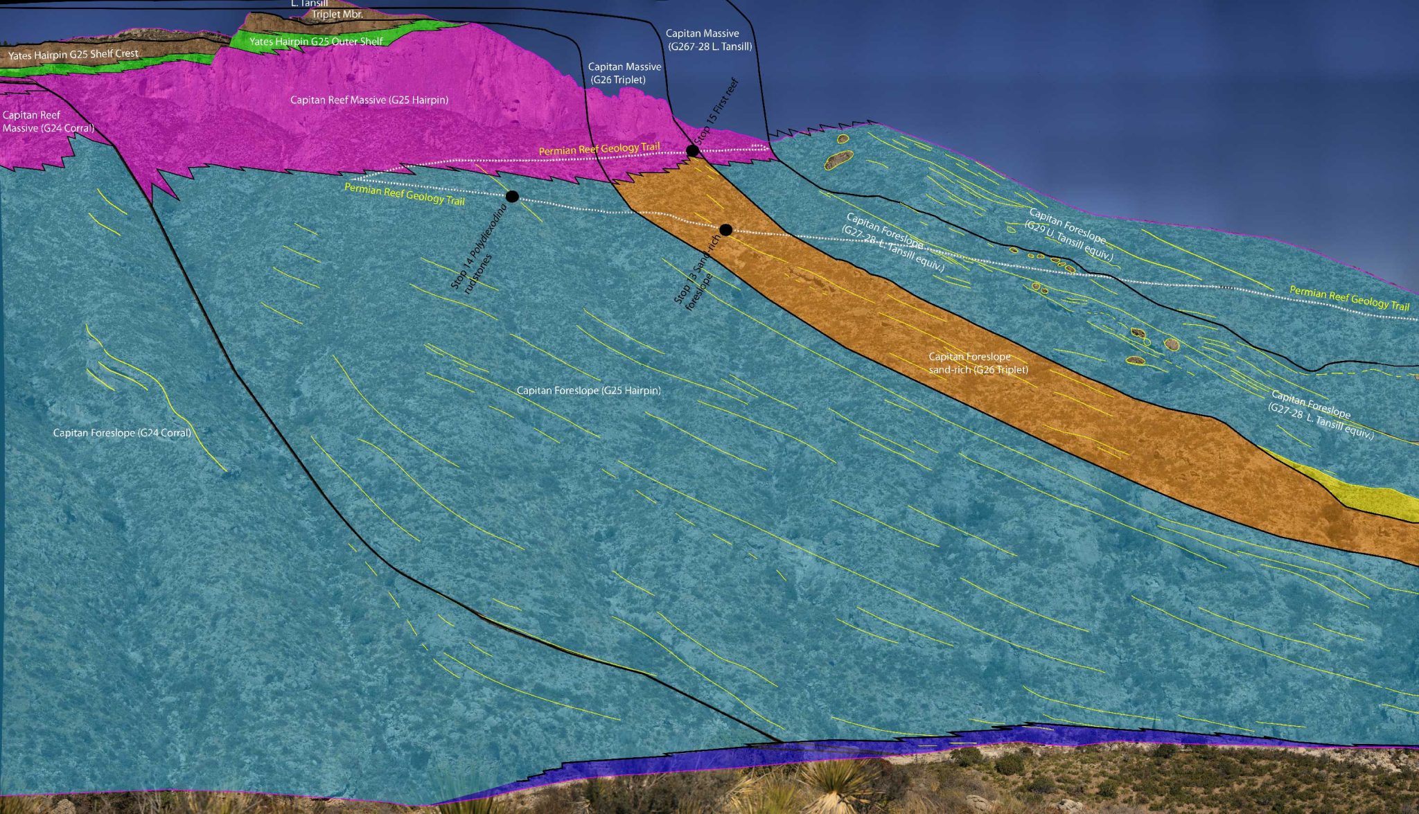 Permian reef complex of the Guadalupe Mountains - IUGS