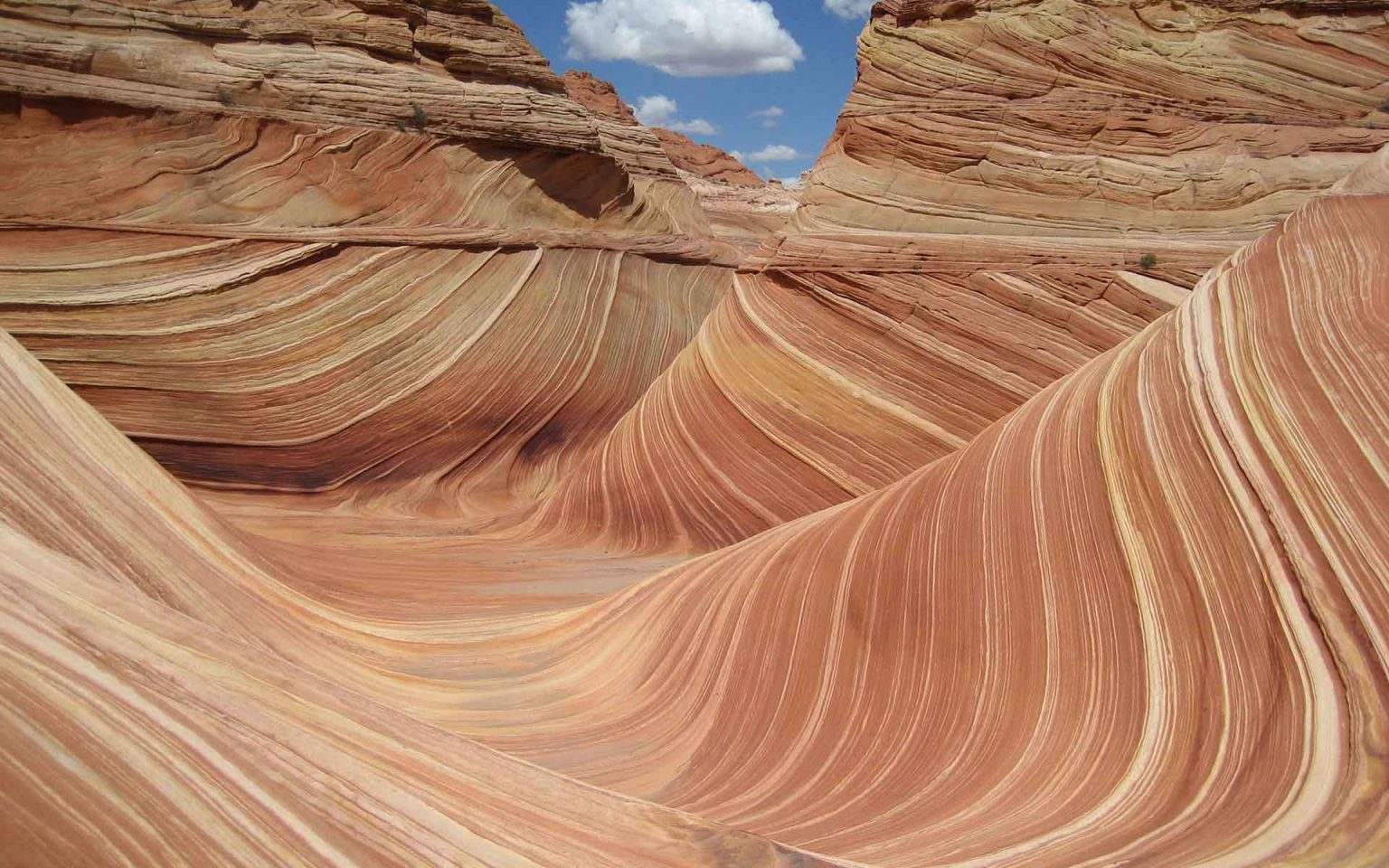 The Jurassic Navajo Sandstone at Coyote Buttes and The Wave - IUGS