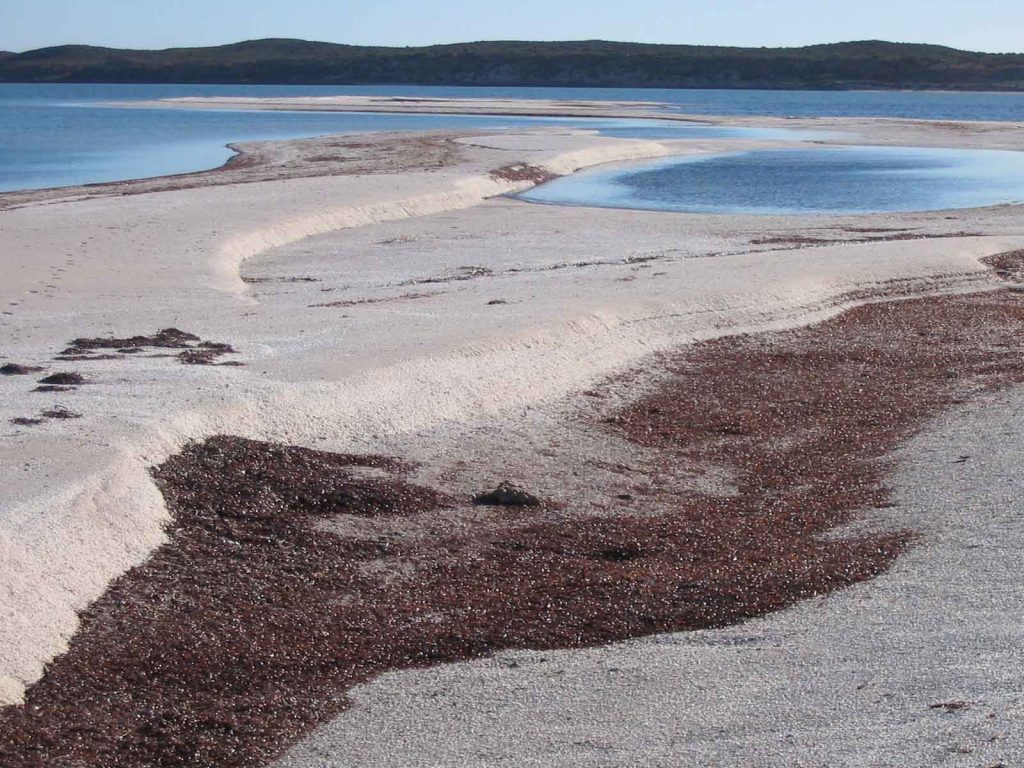 Shark Bay - IUGS