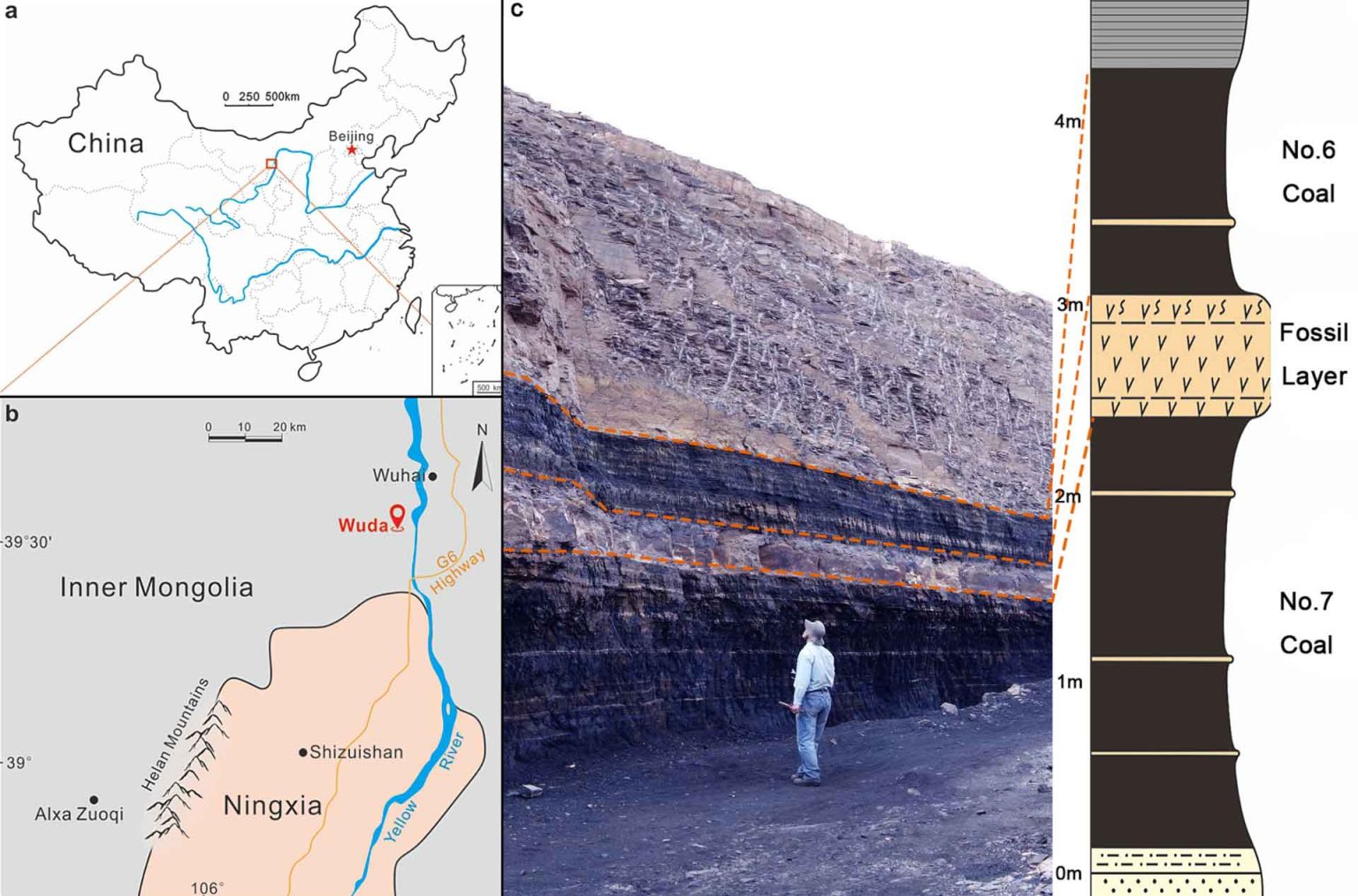 Permian vegetation of the Wuda Fossil Site - IUGS