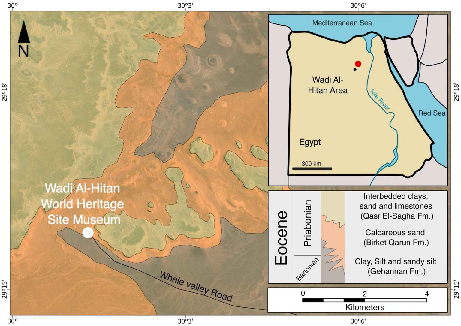 Whale Valley, Cetacea and Sirenia Eocene fossils of Wadi Al-Hitan - IUGS