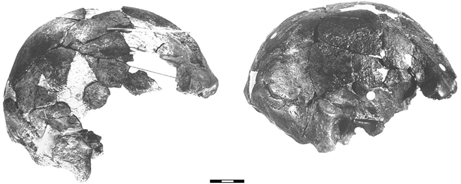The modern human fossils of the Kibish Formation - IUGS