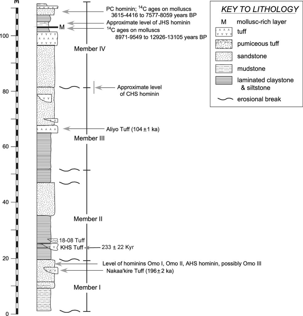 The modern human fossils of the Kibish Formation - IUGS