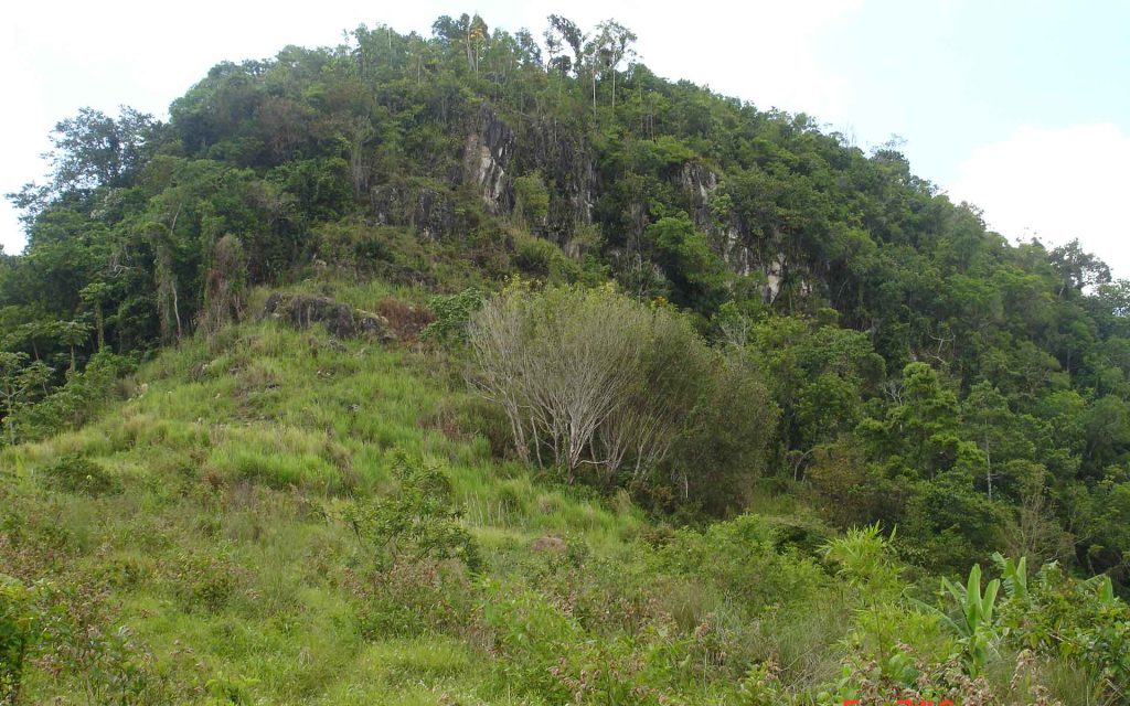 The White Limestone Karst of Cockpit Country - IUGS