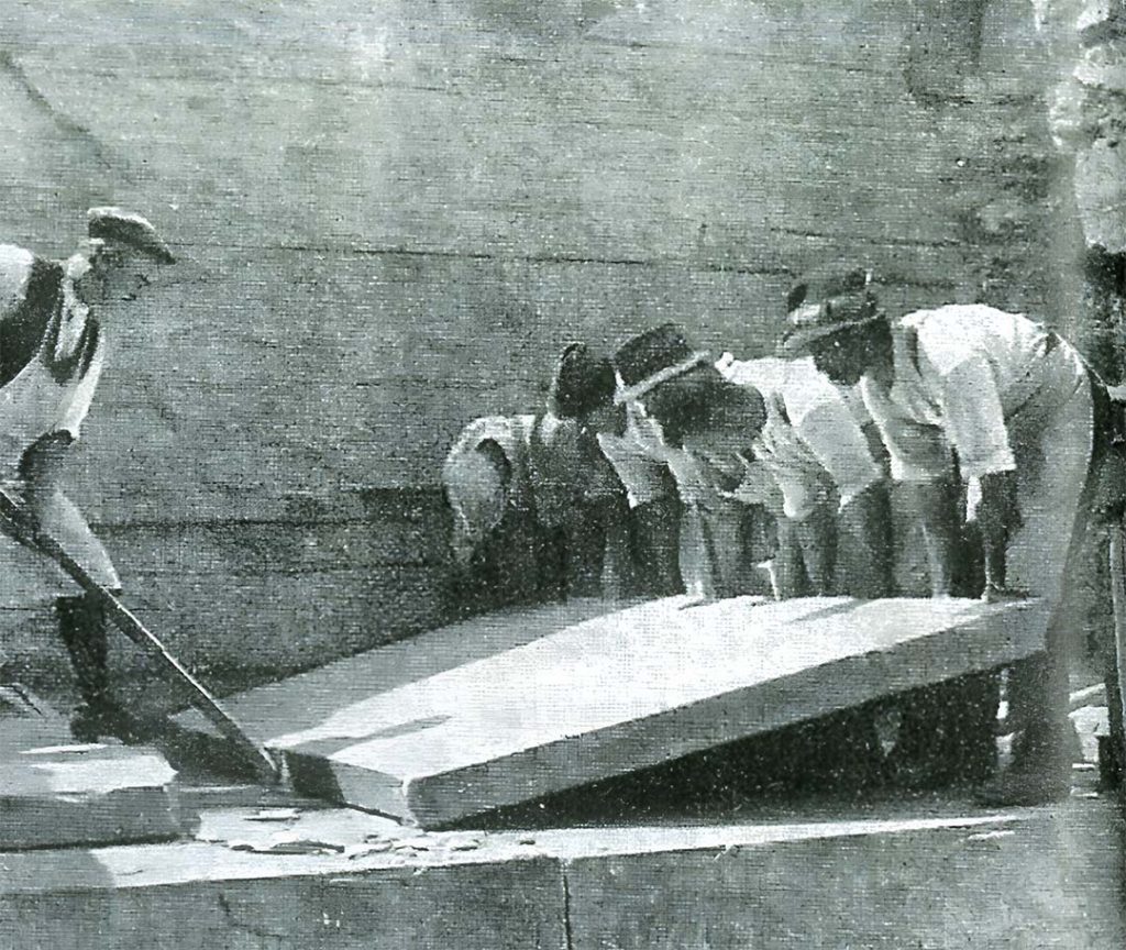 Solnhofen Limestone - IUGS